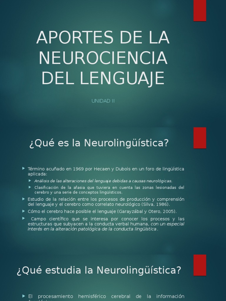 Power Neurociencias Del Lenguaje Pdf Neurolingüística Cerebro