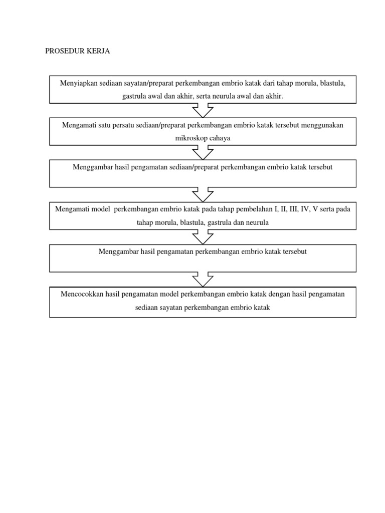 Prosedur Kerja | PDF