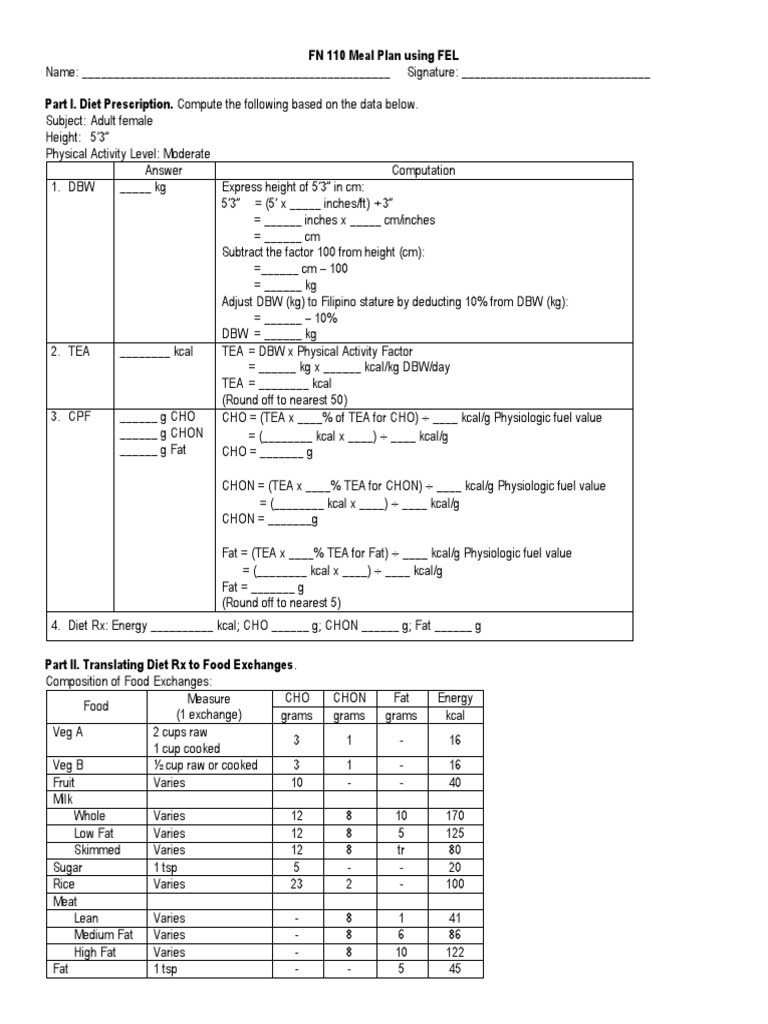 FN 110 FEL Meal Plan Overview | PDF | Calorie | Milk