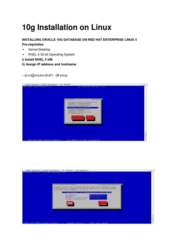 10g Installation On Linux | PDF | Data Management | Utility Software