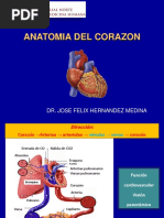 Función y Estructura de Valvas Semilunares | PDF | Circulación ...
