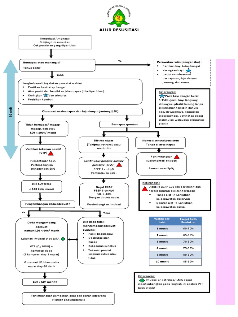 Algoritma Resusitasi Neonatus 2017 PDF | PDF