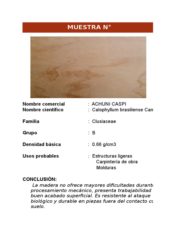 Catalogo de Maderas 2015 | PDF | Madera | Plantas