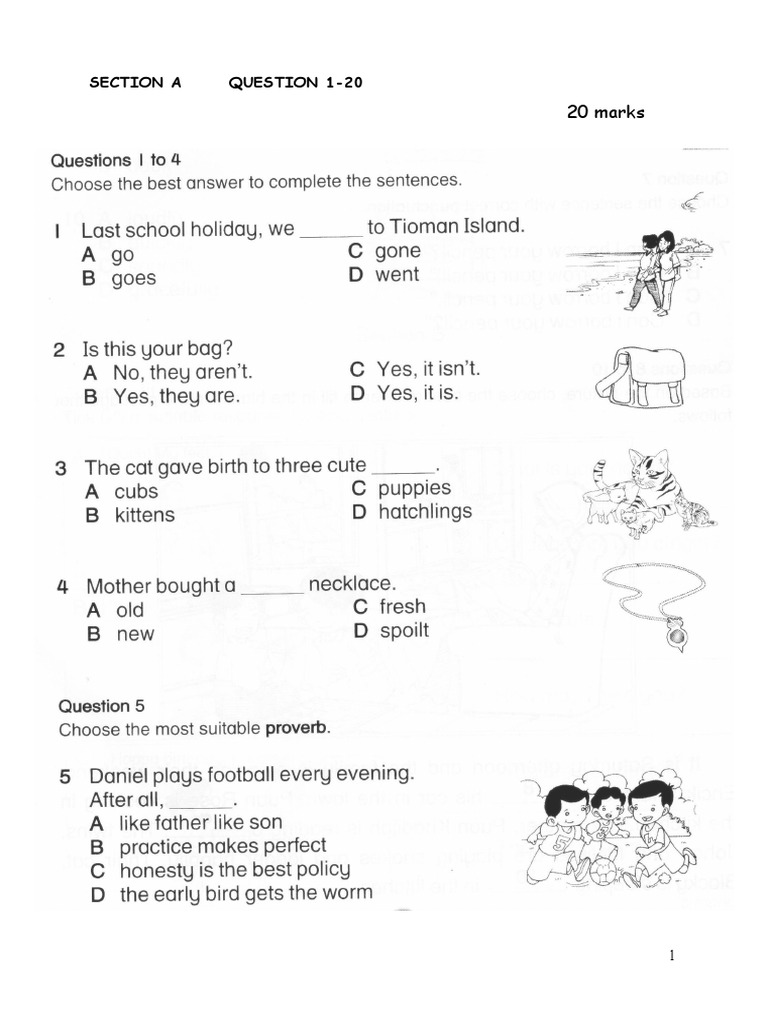 English Year 3 PAPER 1 | PDF