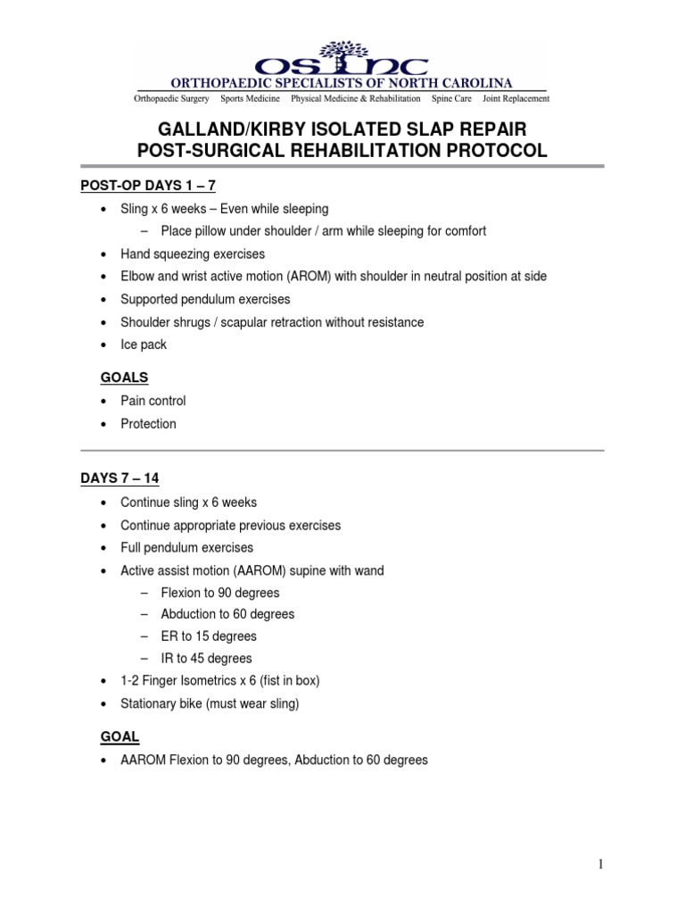 Isolated Slap Repair | PDF | Anatomical Terms Of Motion | Weight Training