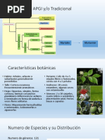 Características y usos del matapalo | PDF | Arboles | Hoja