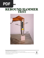 Levelling Form for Engineering Surveying | PDF