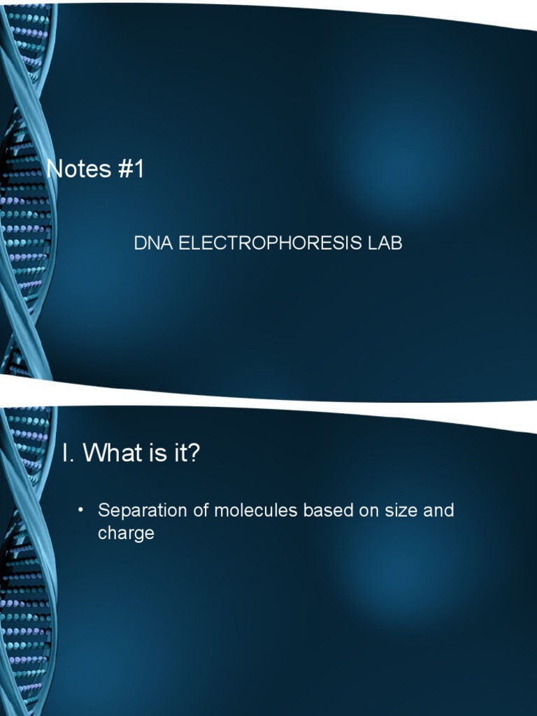 Notes #1: Dna Electrophoresis Lab | PDF | Agarose Gel Electrophoresis ...
