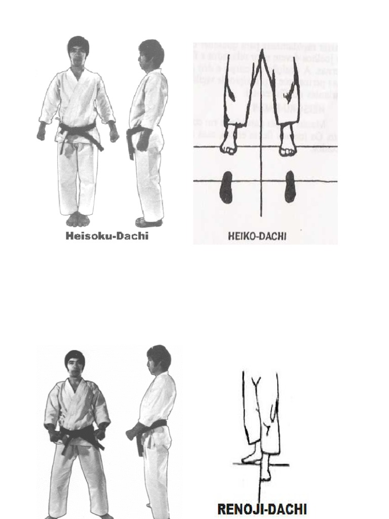 Three Stances of Judo: Kosa Dachi, Socin Dachi, and Shiko Dachi | PDF