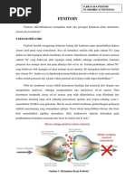 Artikel Fenitoin Id | PDF