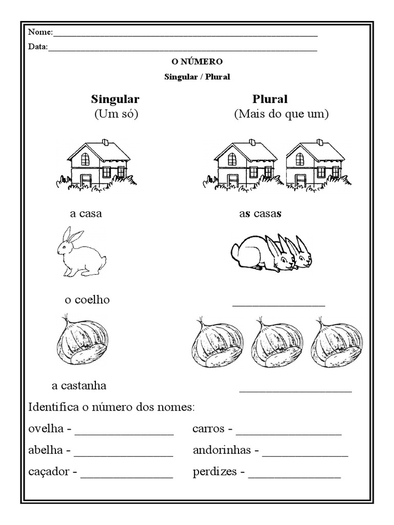 Ficha de Trabalho Singular e Plural