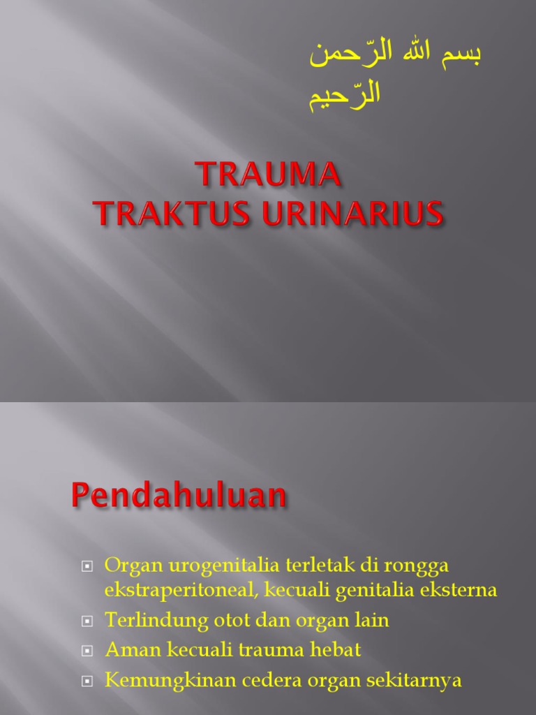 REKONSTRUKSI URETRA POSTERIOR PASCA TRAUMA | PDF