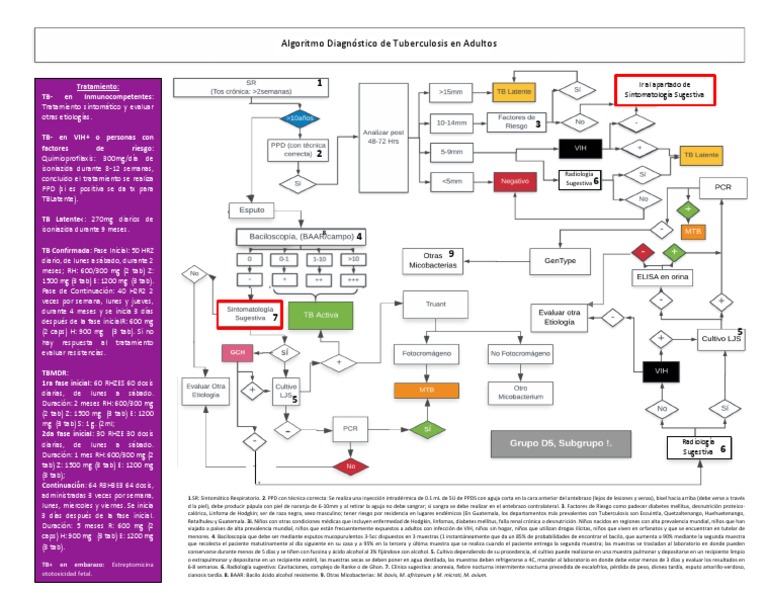 Algoritmo DX TB (Solo Adultos) | PDF | Tuberculosis | Especialidades Medicas