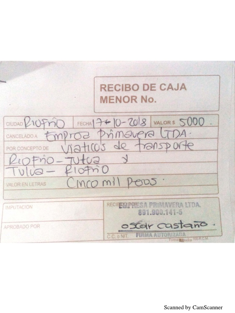 Recibo de Caja Menor PDF | PDF