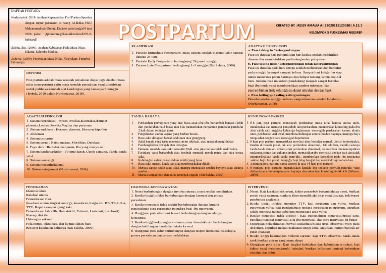 Post Natal Mind Map | PDF
