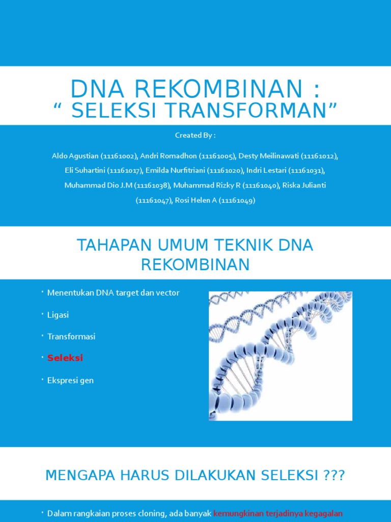 Dna Rekombinan | PDF