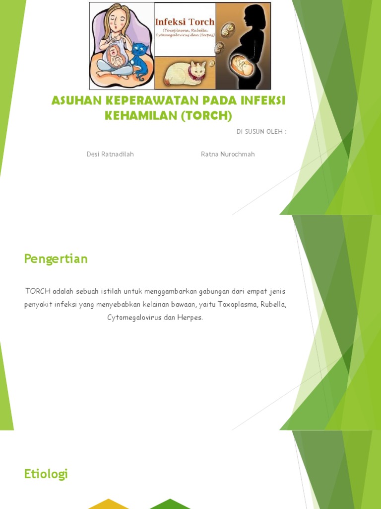 Asuhan Keperawatan Pada Infeksi Kehamilan (Torch) | PDF
