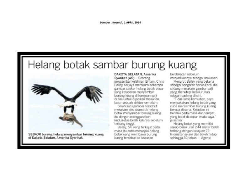 Upload Aneh Helang Botak | PDF