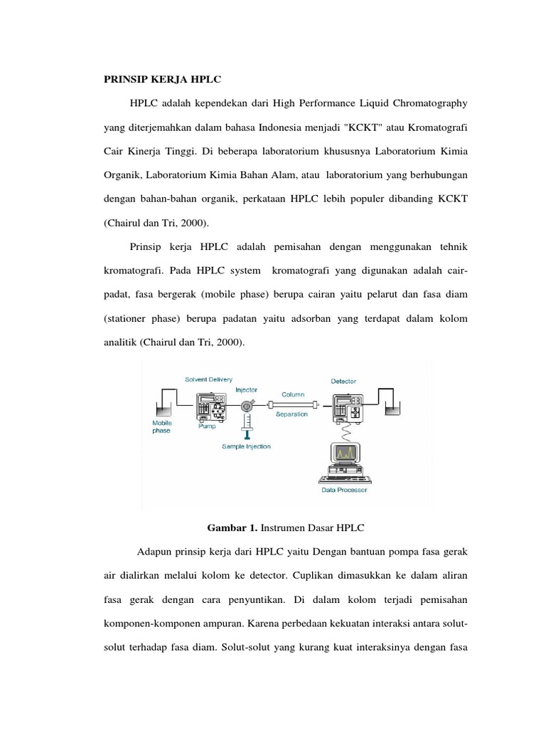 Prinsip Kerja HPLC dan Aplikasinya | PDF