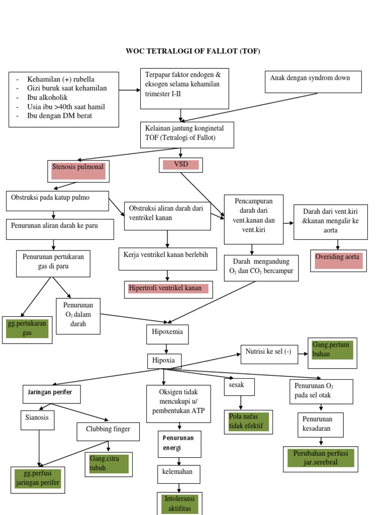 Woc Tetralogi of Fallot (Tof) | PDF