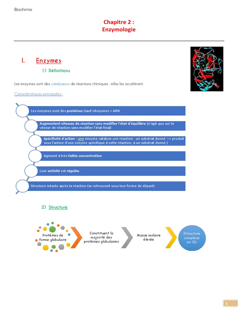 Enzymologie | PDF | Inhibiteur enzymatique | Cinétique enzymatique