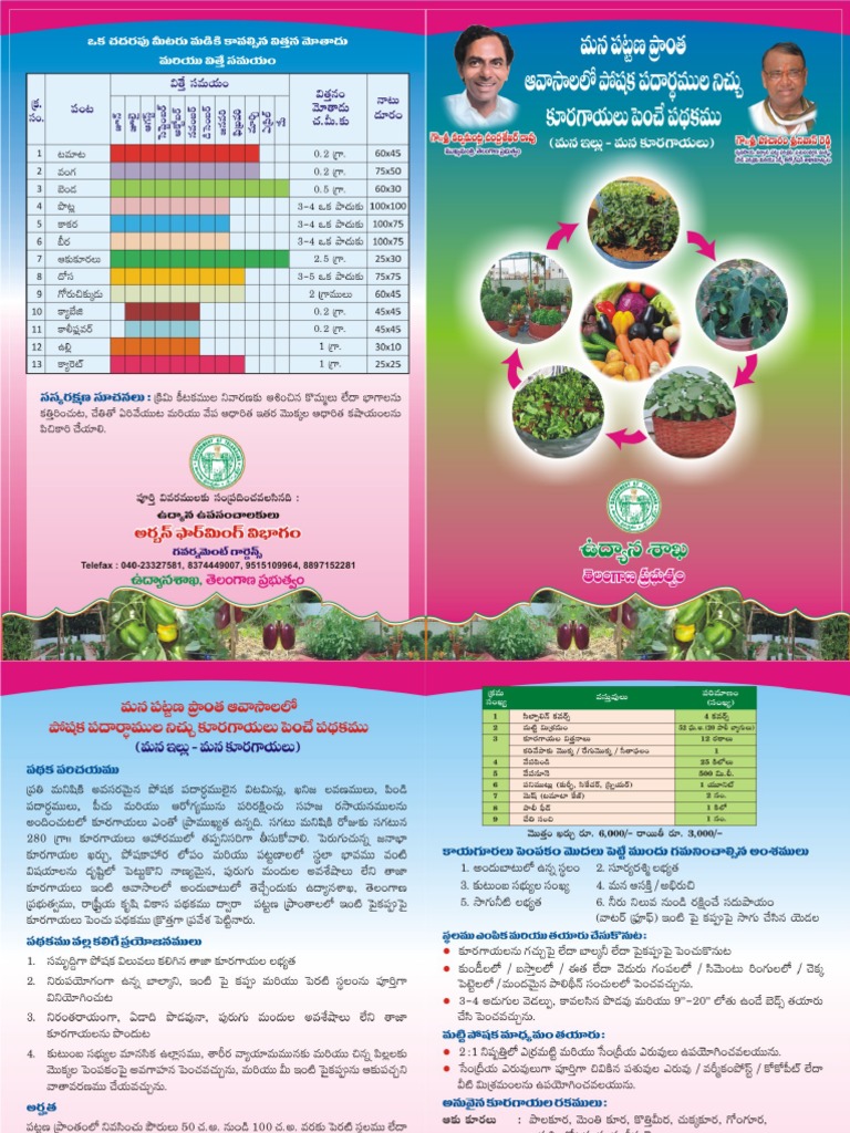 Pamphlet Telugu PDF | PDF