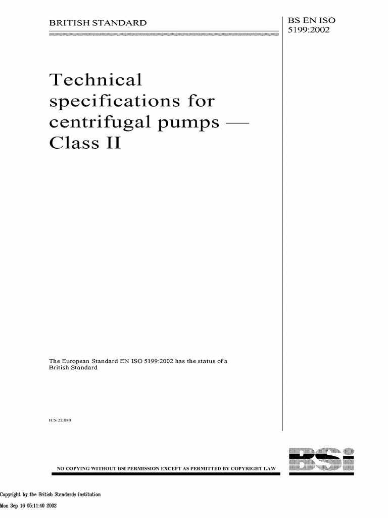 Technical Specifications For Centrifugal Putnps Class II: British Standard Bs en Iso 5199:2002 | PDF
