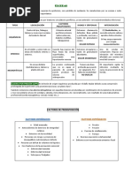 Esquema Estatuto Marco.docx