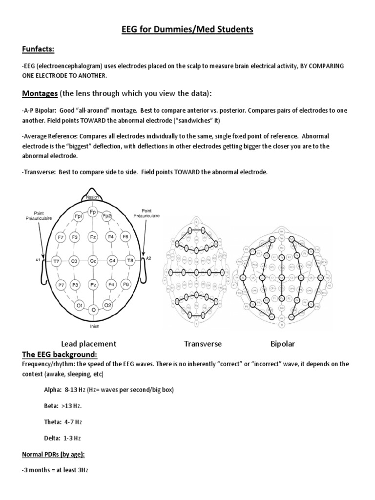EEG For Dummies | Download Free PDF | Electroencephalography | Epilepsy