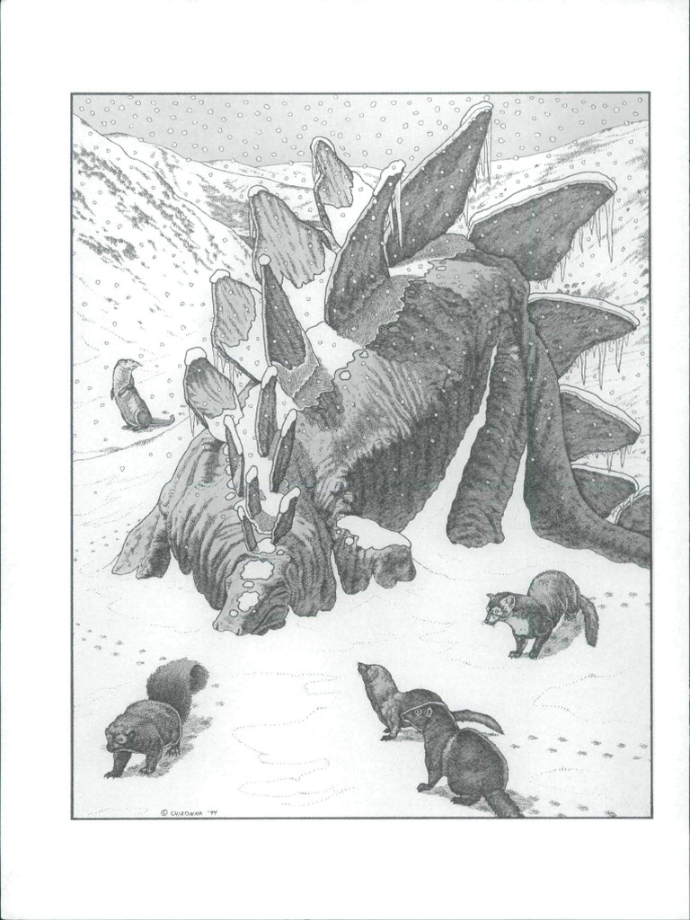 Galbraith The Star Model | PDF | Innovation | System