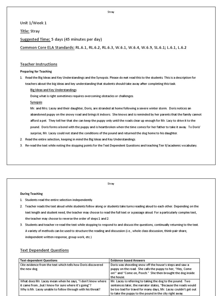 Stray. Lesson - Story | PDF | Dogs | Teachers