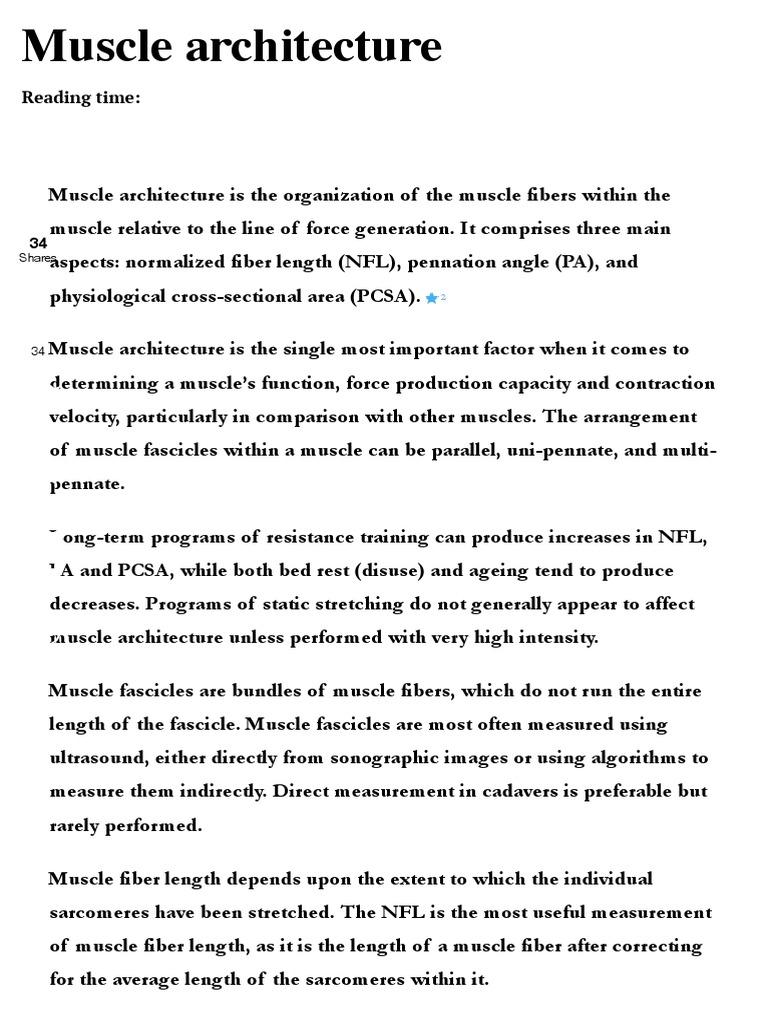 Muscle Architecture - S&C Research | PDF | Muscle | Dance Science