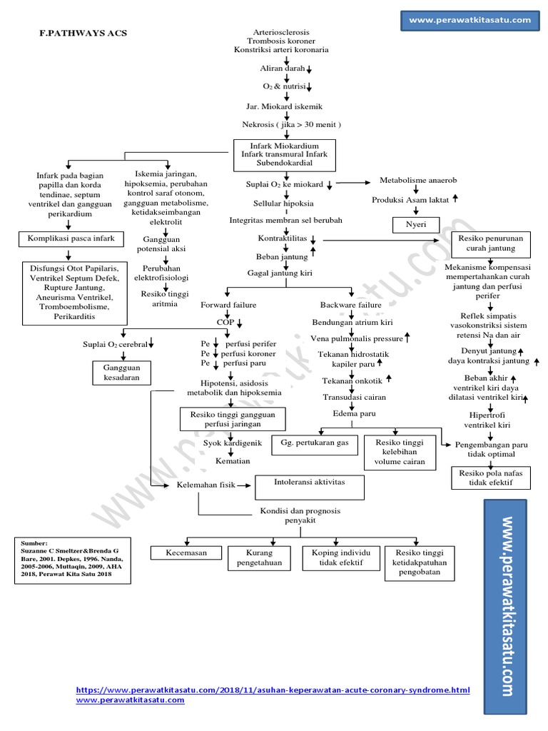 Pathway ACS | PDF