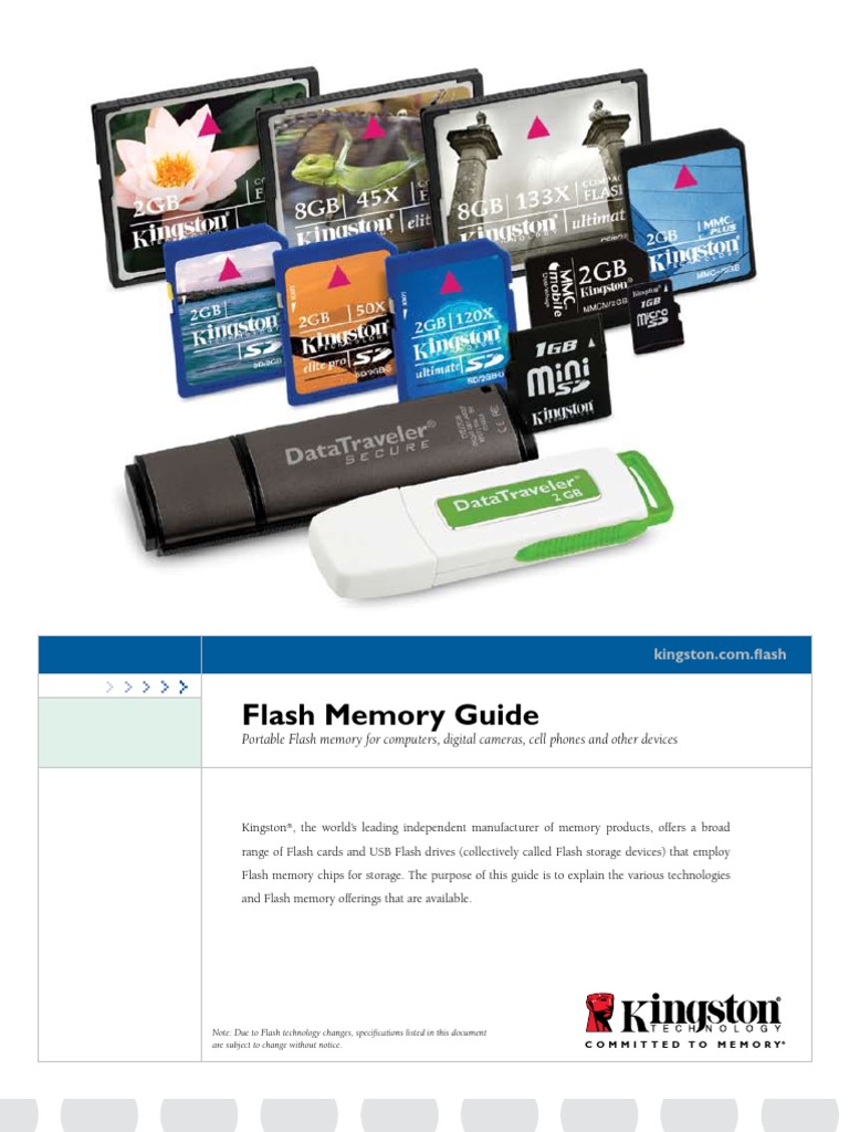 Flash Mem Guide | PDF