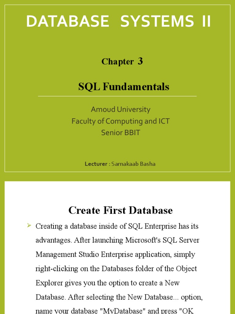 CH 3 - SQL Fundamentals | PDF | Data Model | Databases