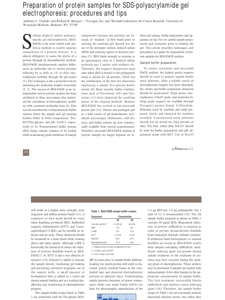 NOVAGEN Prepare Sample PAGE SDS PDF | PDF | Gel Electrophoresis ...