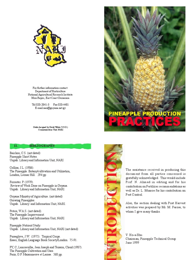 Pineapple Booklet Pdf Pdf Pineapple Harvest
