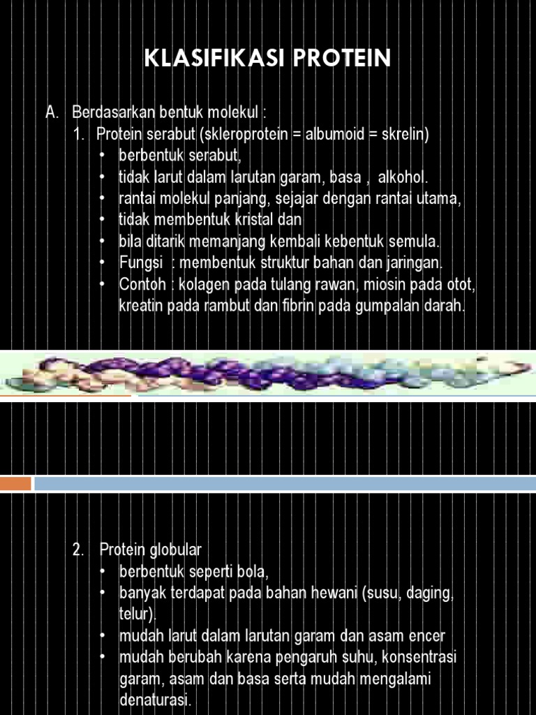 Klasifikasi Protein | PDF