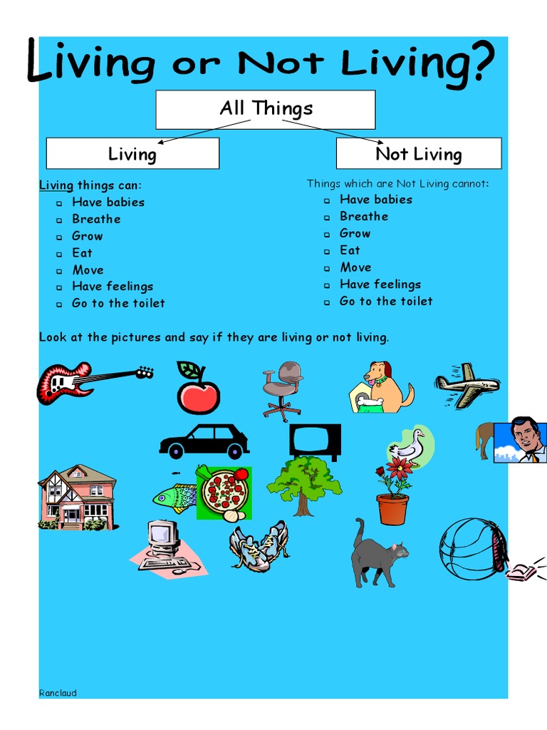 Classification Living Things | PDF | Reptile | Amphibian