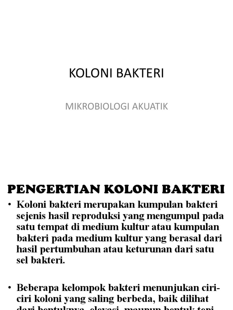 Koloni Bakteri | PDF