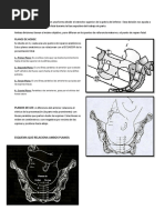 Clasificación de Grannum | PDF | Placenta | El embarazo