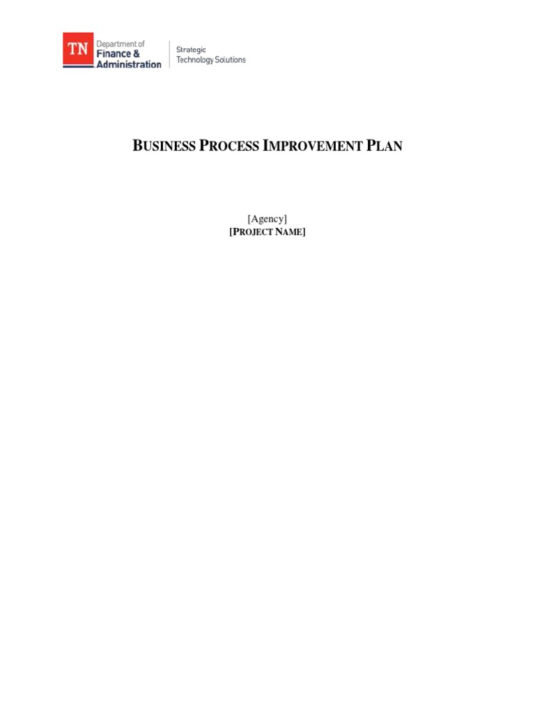 Business Process Improvement Plan | PDF | Business Process | Business ...