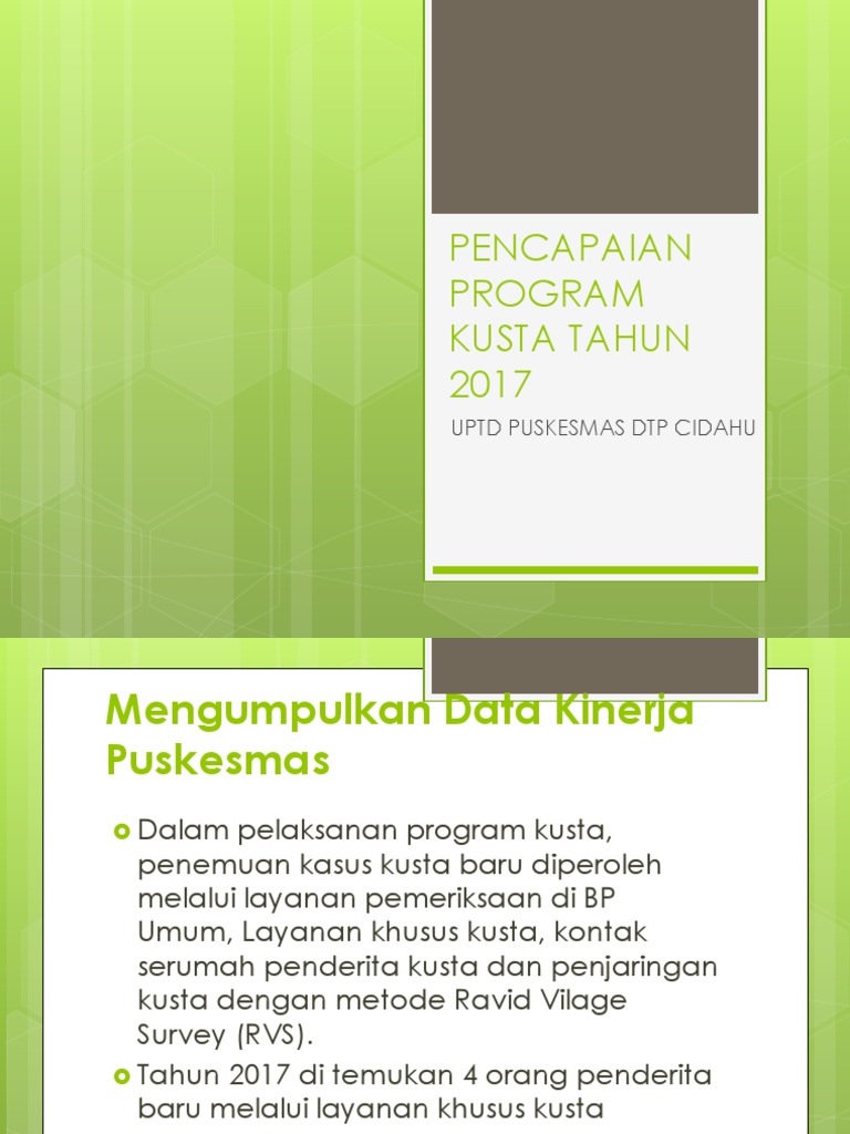 Pencapaian Program Kusta Tahun 2017 | PDF