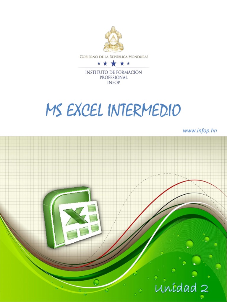 Excel | PDF | Point and Click | Microsoft Excel