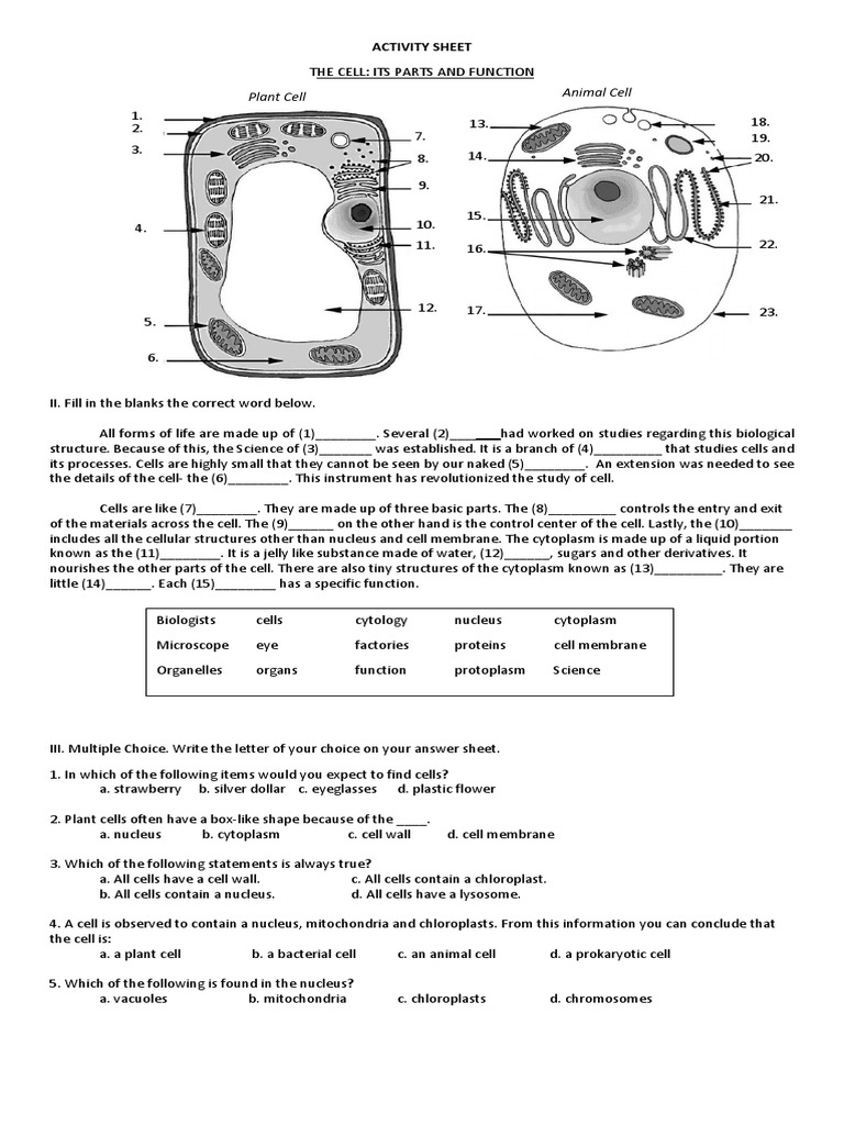Activity Sheet - Cell | PDF | Chloroplast | Lysosome