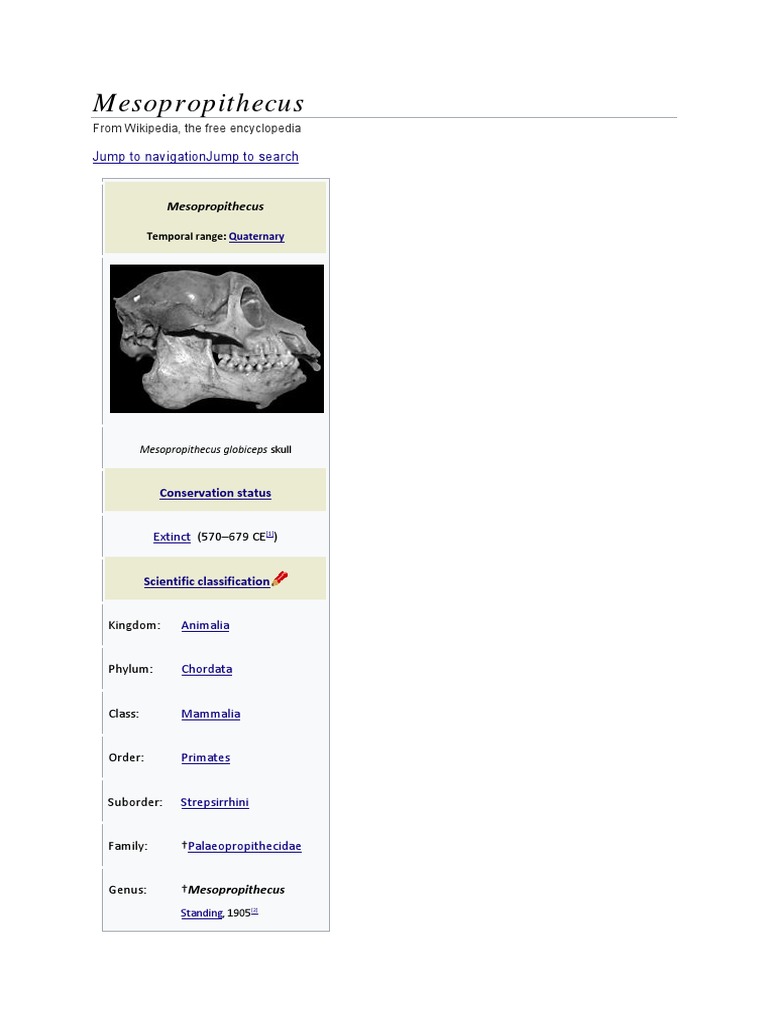 Mesopropithecus: Jump To Navigationjump To Search | PDF | Mammals Of ...
