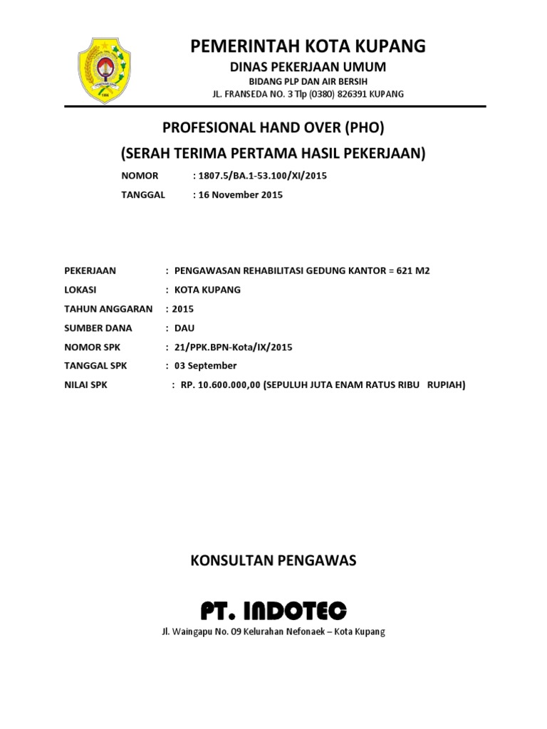 Profesional Hand Over | PDF