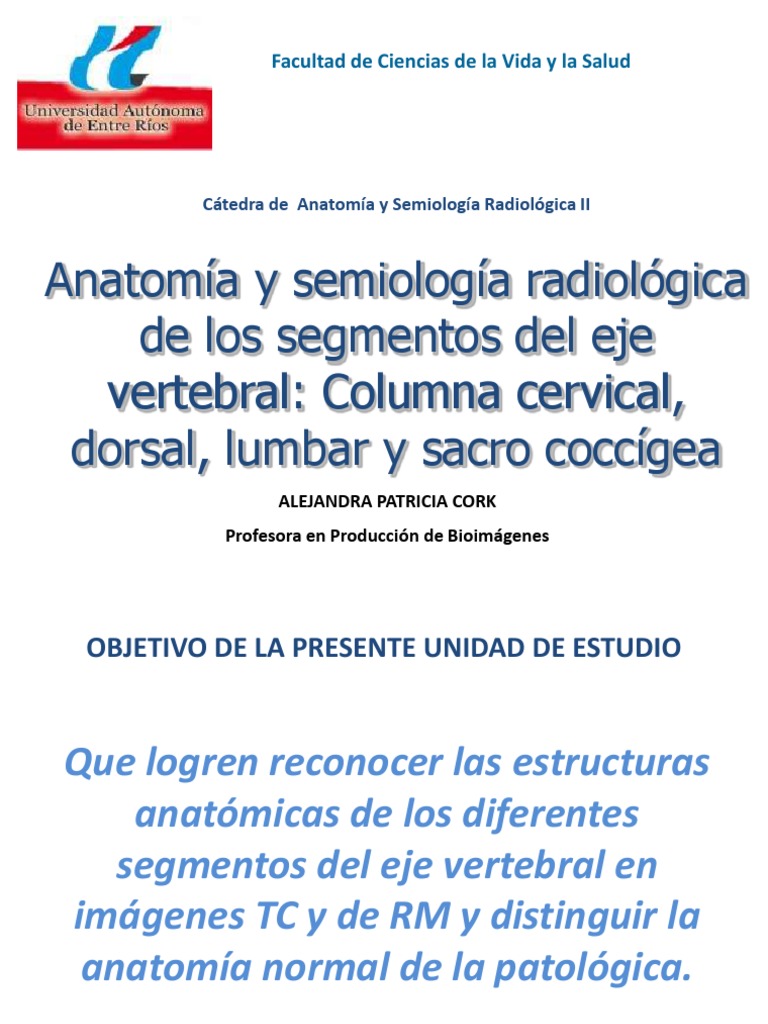 2 Anatomia y Semiologia Radiologica de Los Segmentos Del Eje Vertebral ...