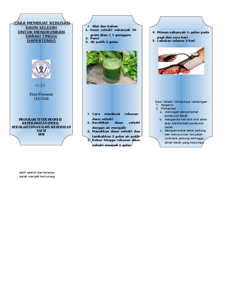Leaflet Rebusan Seledri | PDF