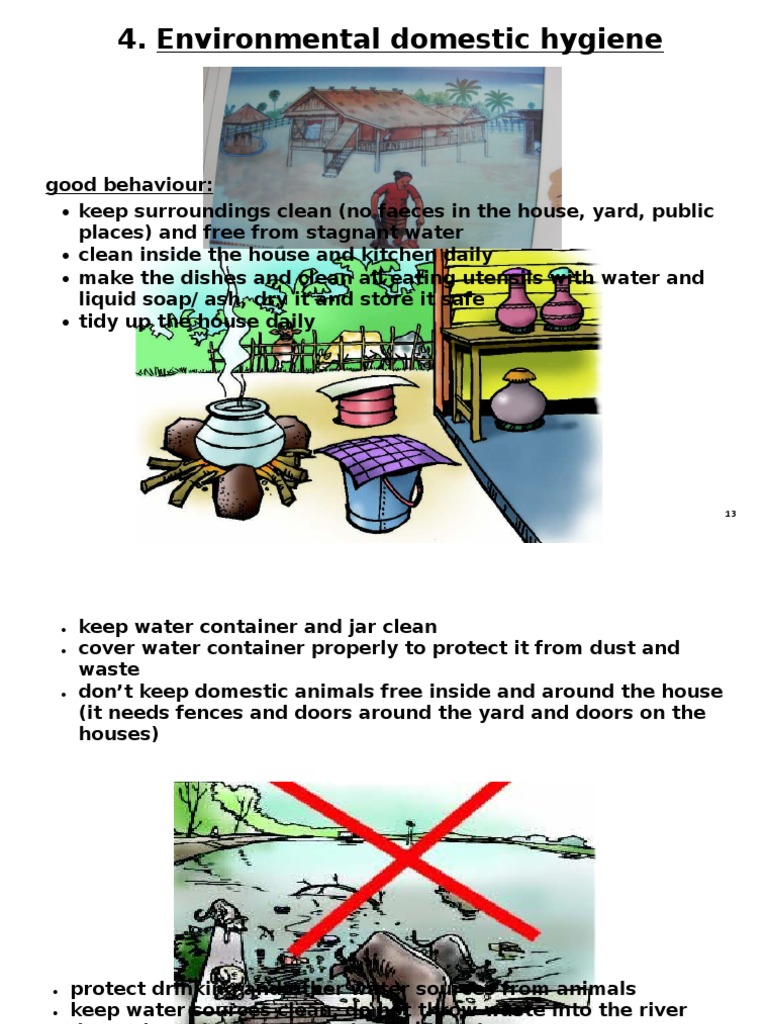 Domestic Hygiene Update English | PDF